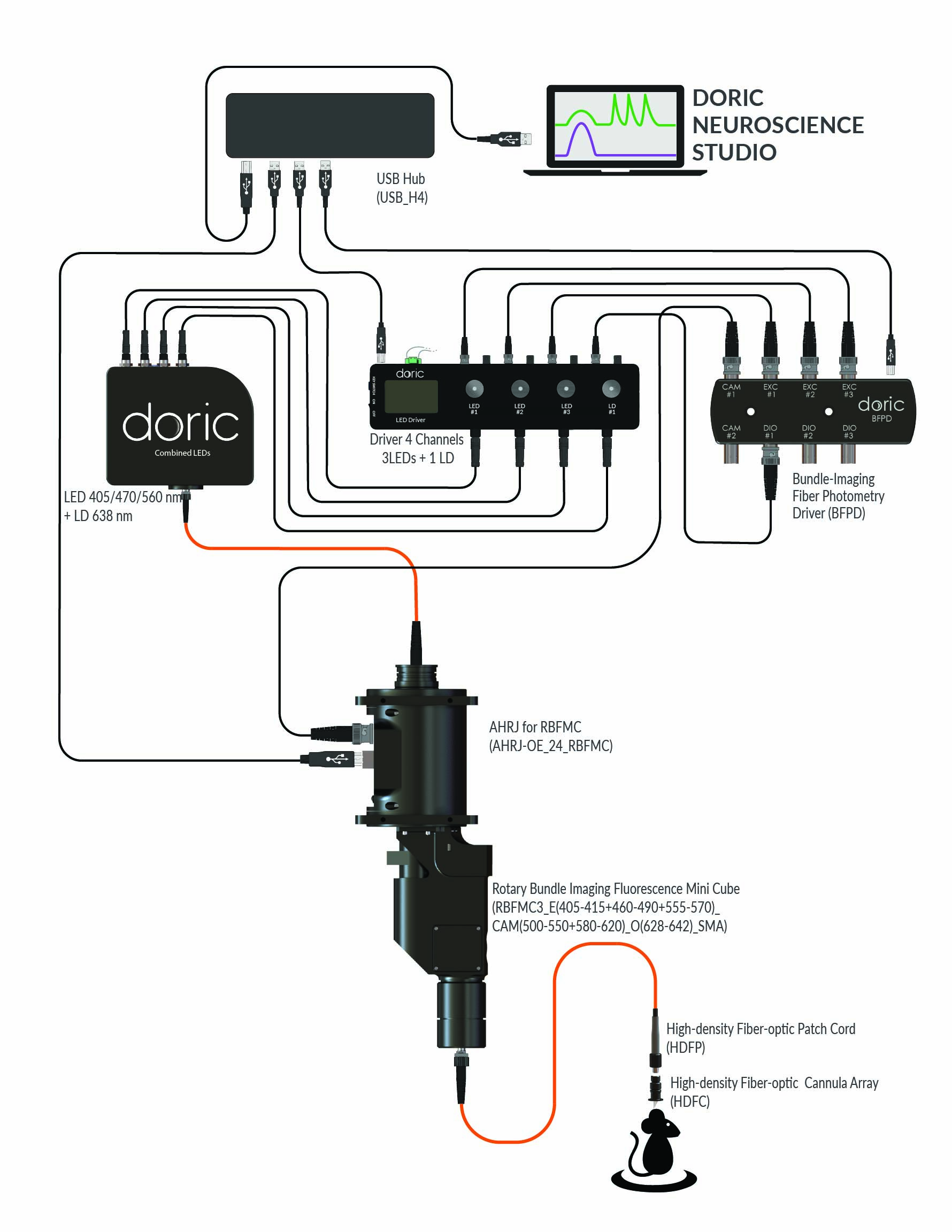 Rotary Bundle-imaging Fluorescence Photometry System – Doric Lenses Inc.